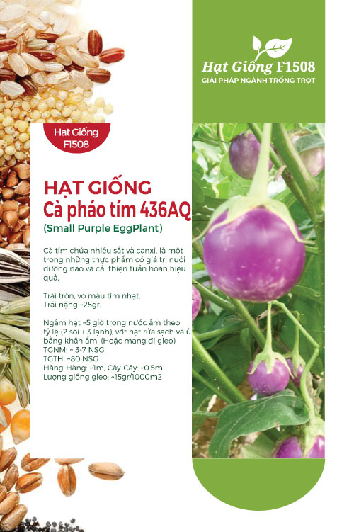 Mua Hạt giống Cà pháo tím 0.5gr ở đâu? - 8.000đ - Mua Hạt Giống F1