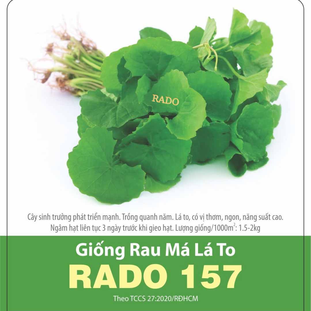 Mua Hạt giống Rau má lá to 1gr ở đâu? - 12.000đ - Mua Hạt Giống F1
